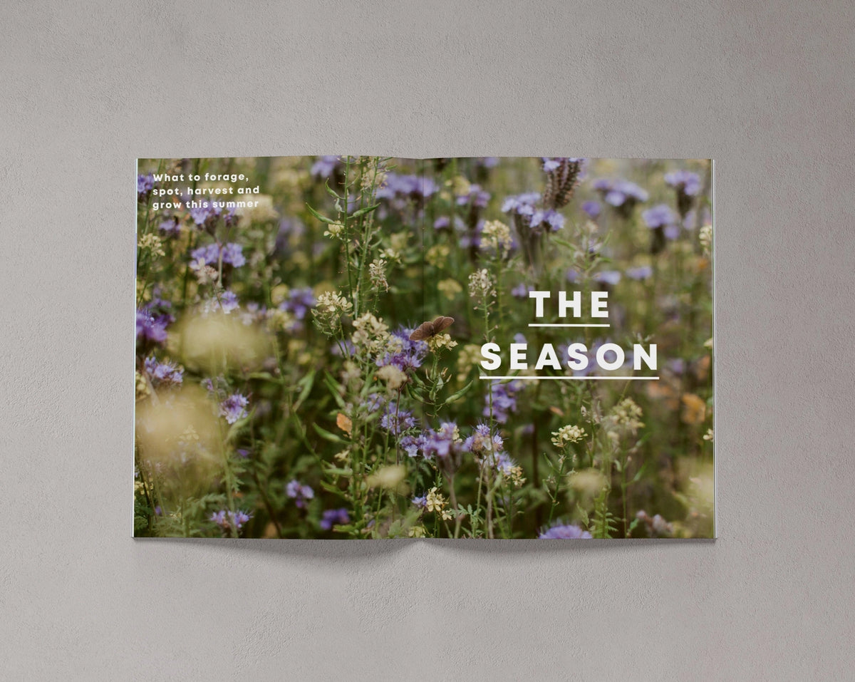 BLOOM Magazine Issue 9 – Summer 2021 – croft