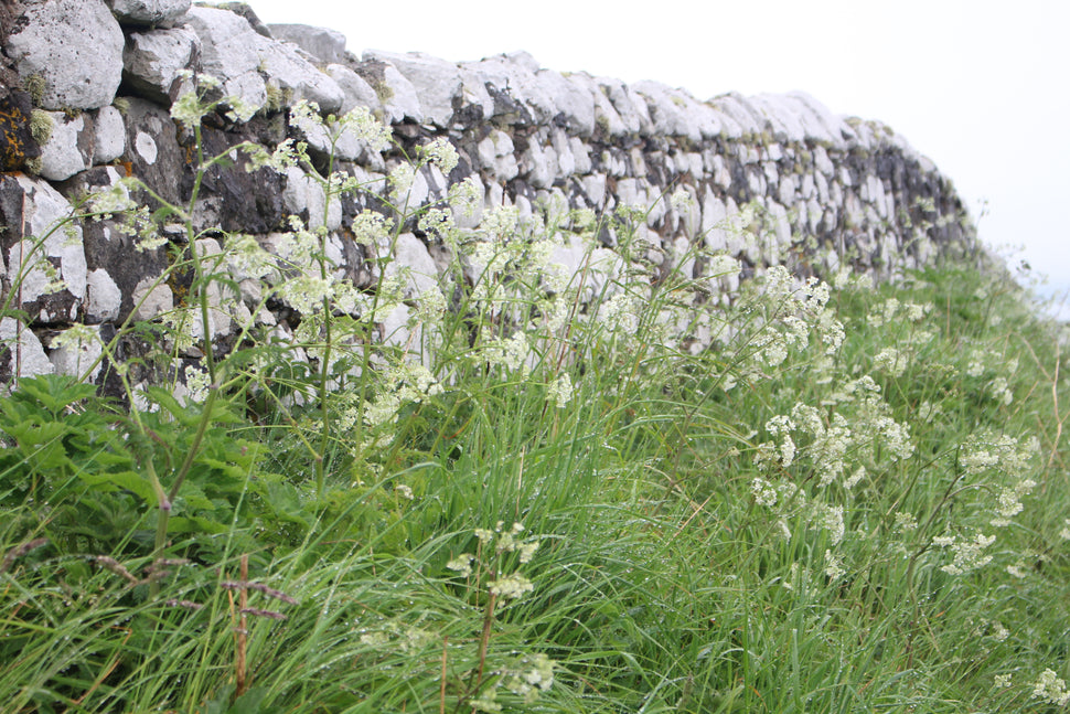 croft
